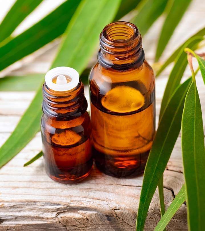 Eucalyptus Essential Oil Aromas Plus Eucalyptus Essential Oil Aromas Plus